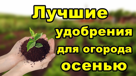 Продается Калифорнийский черви и биогомус