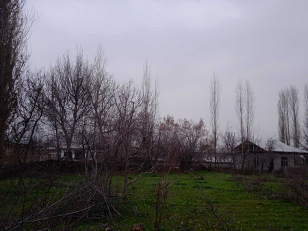 Arzon narx db oyliman shoshilinchda sotvoman 24 sotix 92000$