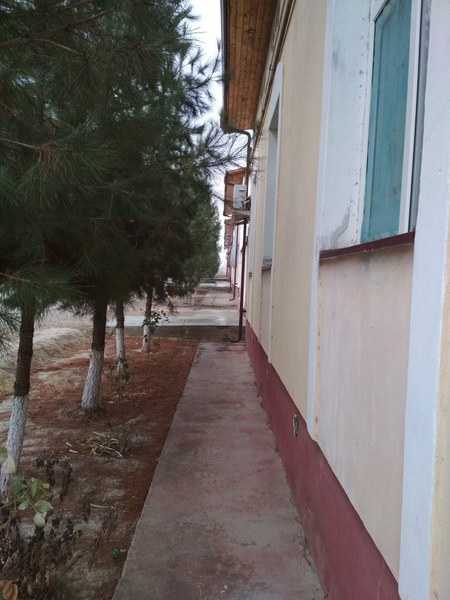 Navoiy viloyati DO'STLIK 2014 MASSIVIDA