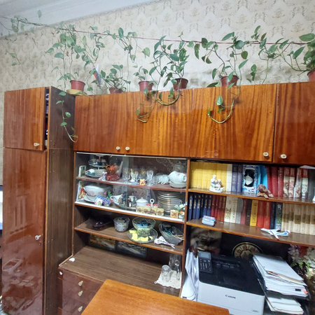 Стенка советская