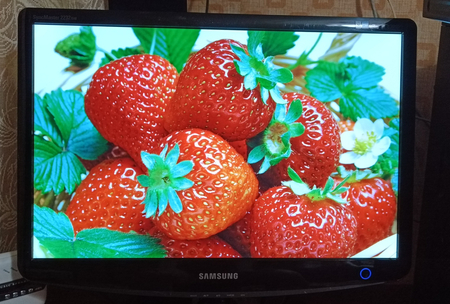 Монитор SAMSUNG  22 диагональ модель 2232BM
