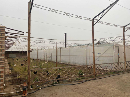 Продаётся большой участок в городе Термез