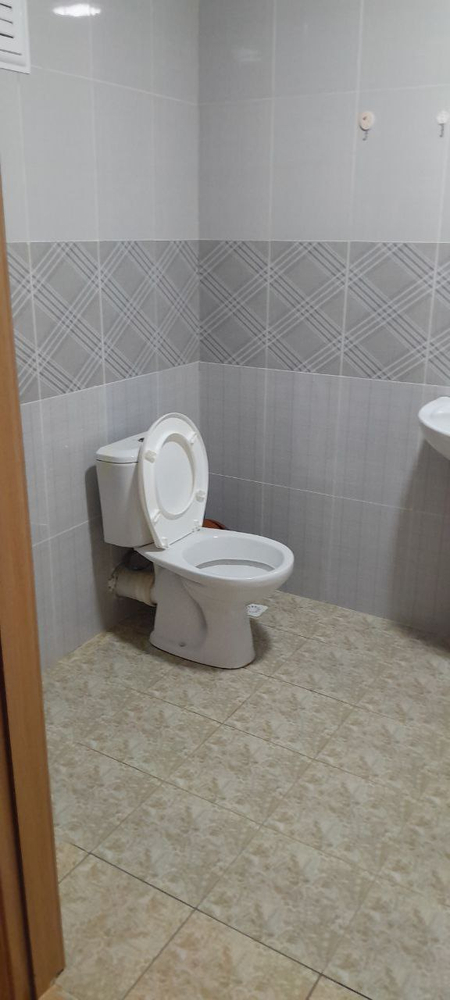 Motrid ijaraga beriladi