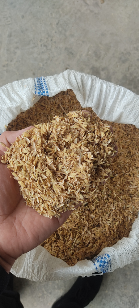 Sholi poʻchogʻi sotiladi