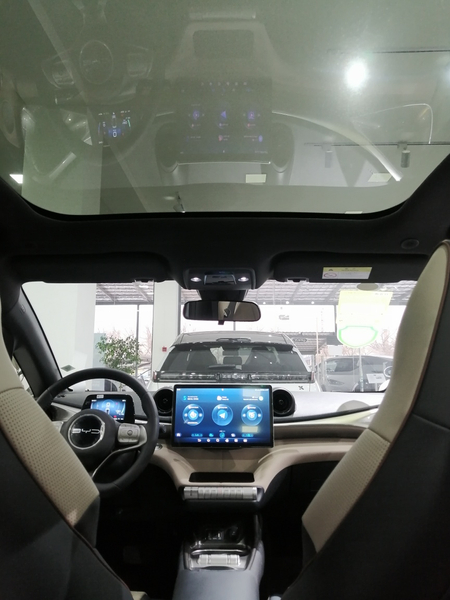 BYD Dolphin fashion edition (510 km)