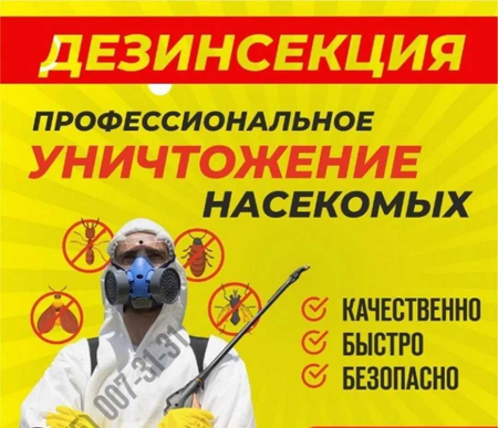 3 года гарантии или вернем деньги!* Dezinfeksiya Дезинфекция