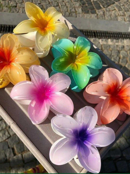 zakolka xarxil turdagi sifatli va xamyonbob.
