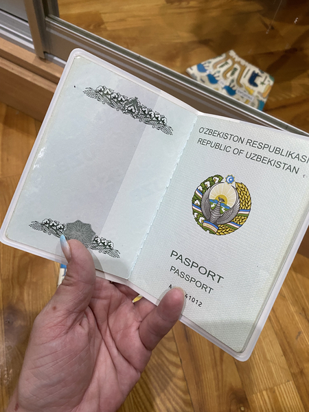 чехол,обложка на паспорт с динозавриками