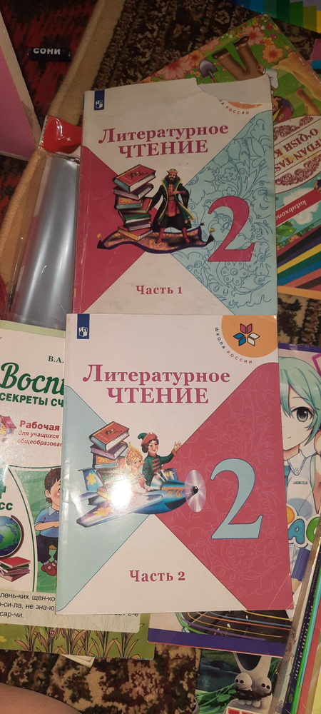 Учебники  2 и 4 классов
