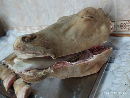 Kalla Xasib tozalash mol qoy калла хасиб тозалаш kalla Pocha Xasib