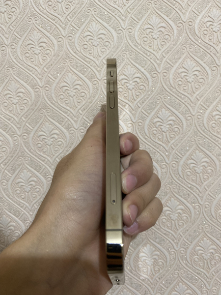 Iphone 12 Pro 128 Gb LL/A Srochno