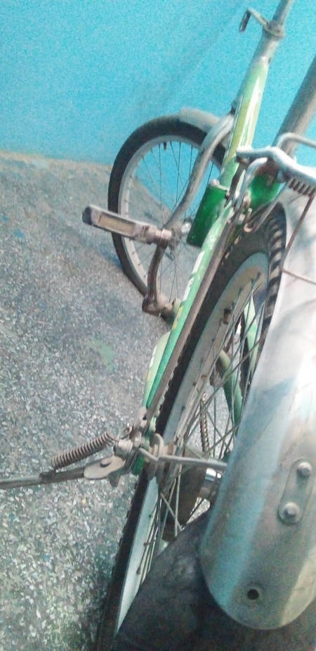 Velosiped (kama velik)