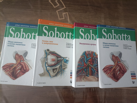 Атлас по анатомии Sobotta. Немецкие атласыэы 2021г.