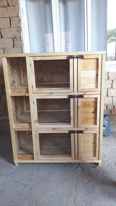Quyon qafaslar zakasga