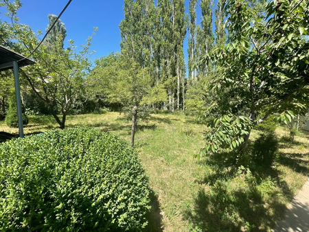DACHA Yusufxona arzon