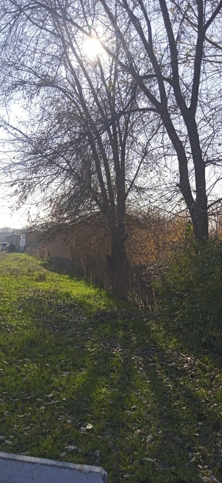Uchastka sotiladi Toshkent viloyatida Parkent tumanida 40 sotx