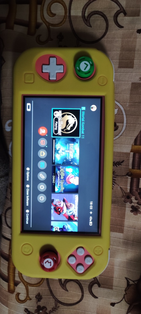 Nintendo switch lite