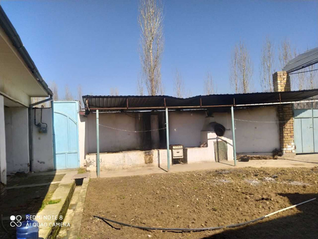 Чорва учун яхши жой