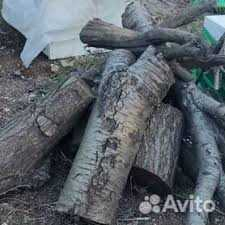 Дрова фруктов для использования Утин otin Дрова фруктовых деревья