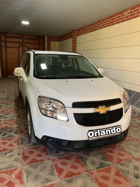 Orlando 50 ming yurgan