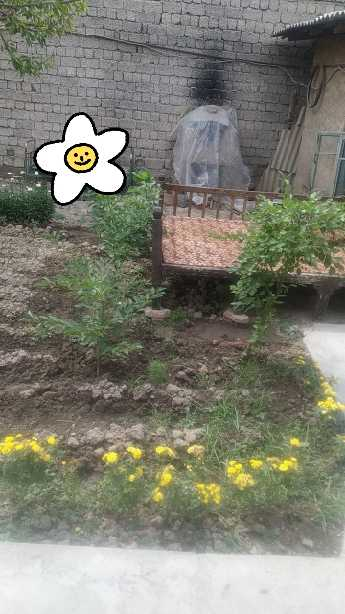 Uy yer hisobida srochna sotiladi