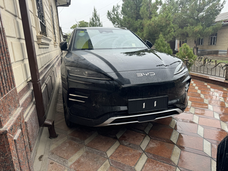 BYD ( 2025 ) модел