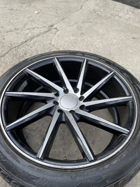 17 Vossen Diska Balon Obmenam bor