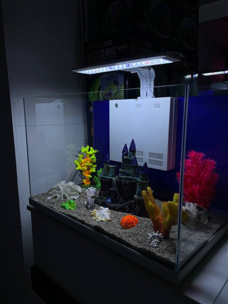 New HI-TEch akvarium