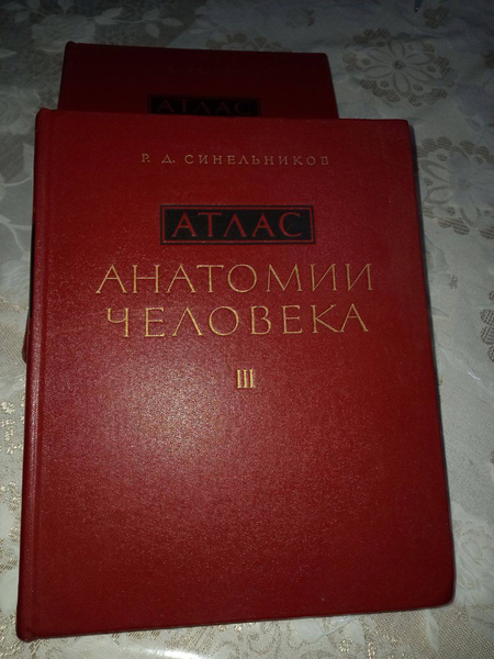 Книга Атлас Анатомии Человека
