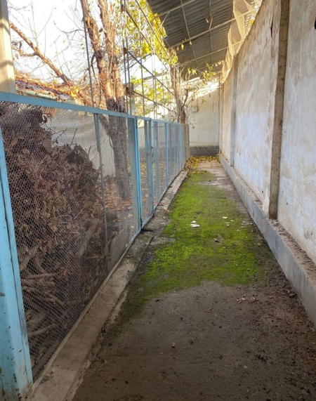 Продажа земельного участка 20 соток