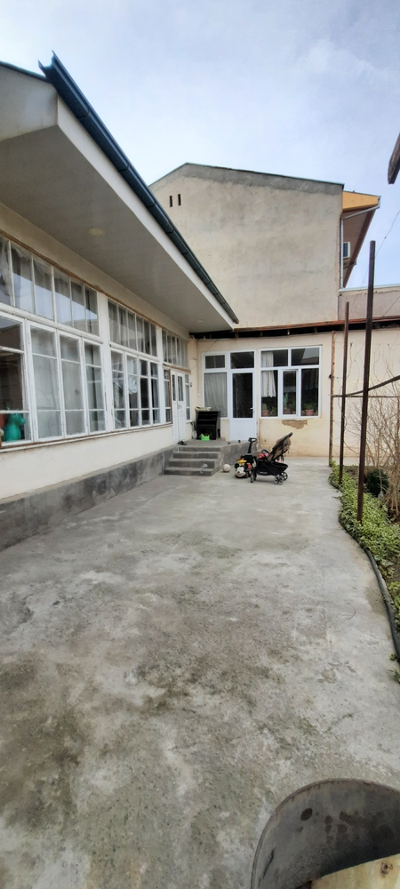 Дурмень цен.6с.6хона.