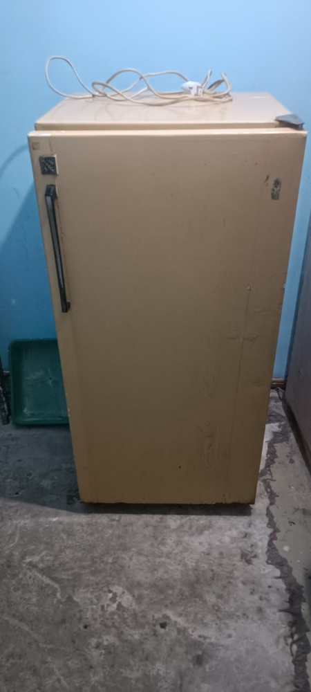 Продам холодильник снежинка.