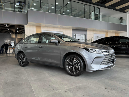 BYD Chazor ( 120 km Flagship ) 
