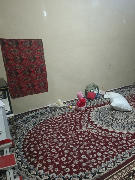 Ijaraga Bektemirda hovli Qoʻyliq fud ketiga yaqin faqat oilaga berilad
