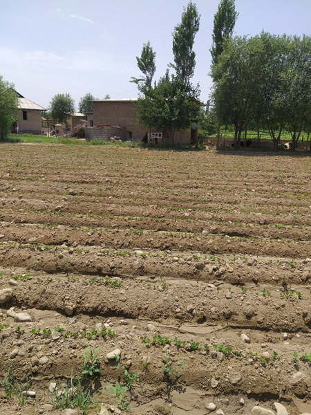 Uchastka sotiladi