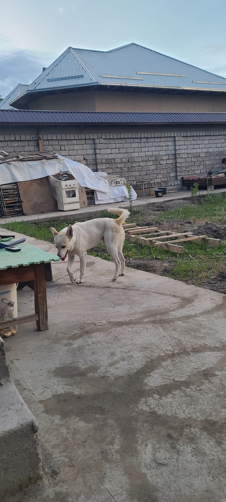Кучук бервораман