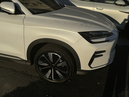 BYD Chempion 2025