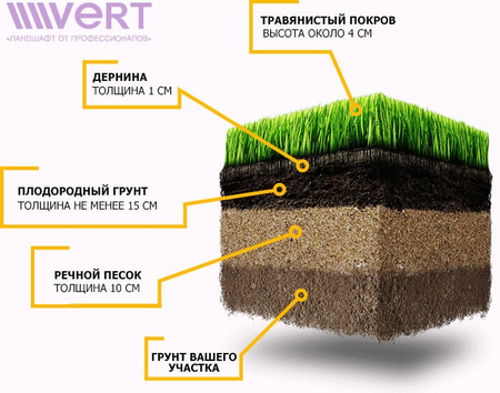 ГАЗОН ДАНИЯ⁹. 15000 сум укладка 1²м