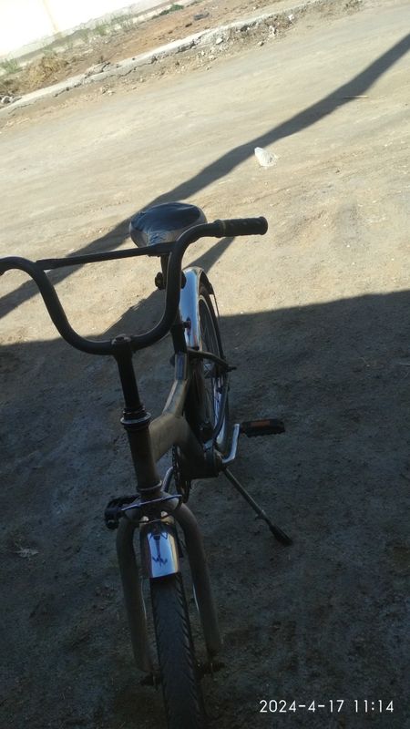 Velosiped 20 lik