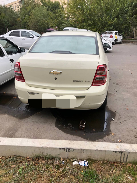 Кобальт   автомат