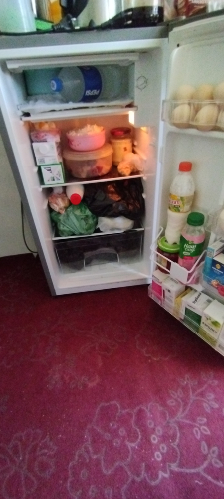Muzlatgich sifati alo darajada oladiganlar tel qilsin.