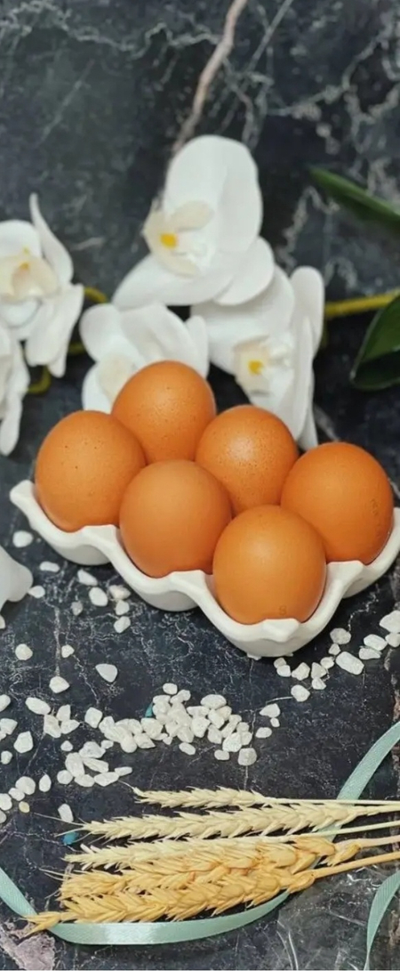 Подставка для яиц, из гипса