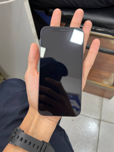 iPhone 12Pro 512/blue