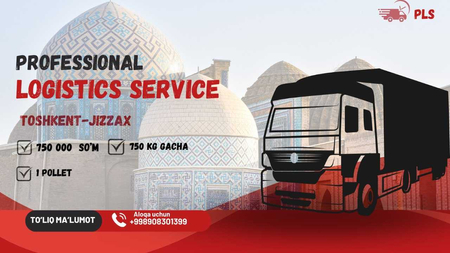 Professional logistic servis