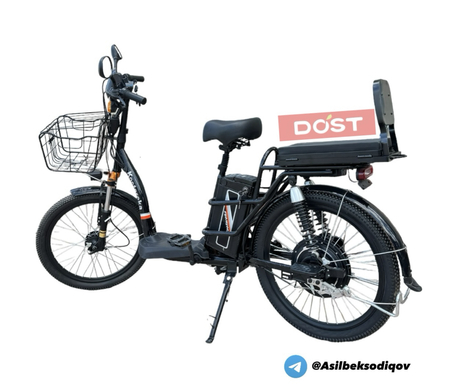Eliktro velo 24 kostarika
