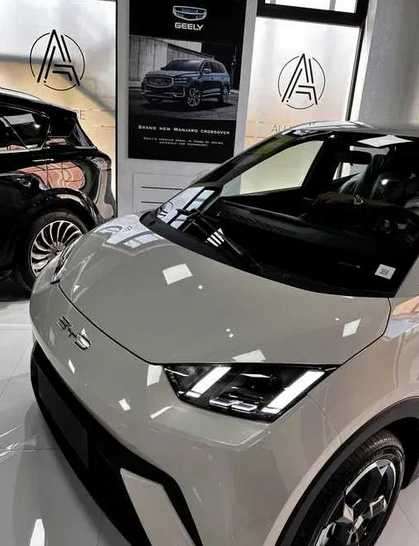 BYD Seagull Oq va qora rangidan bor14.500