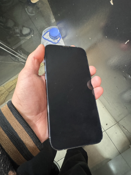 13 PRO MAX SOTILADI 635% 256gb