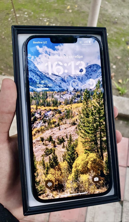 iPhone 13 Pro Max LL/A obmen