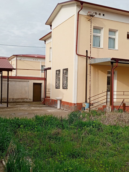 Shaxrisabzdan kotej srocni sotiladi