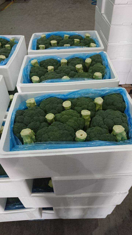 Ящик из Пенопласта, термо яшик, яшик для брокколи, мороженое, рыба
